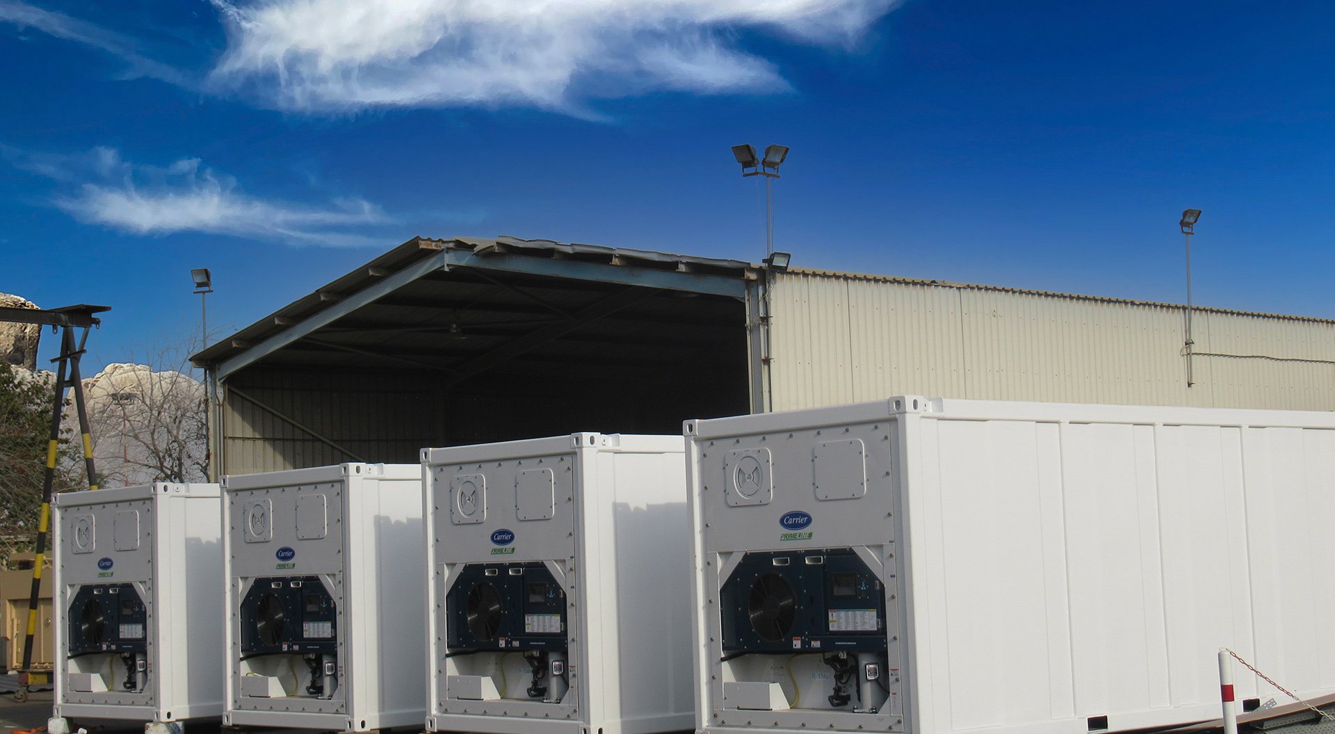 Onshore & Offshore reefer container sales & lease | MFC Concepts